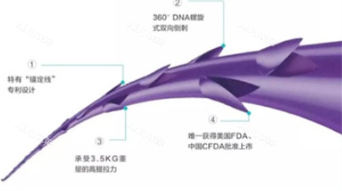 耳前韧带提升材料大PK！PPDO线、膨体、自体组织哪个适合你！_艾聚网